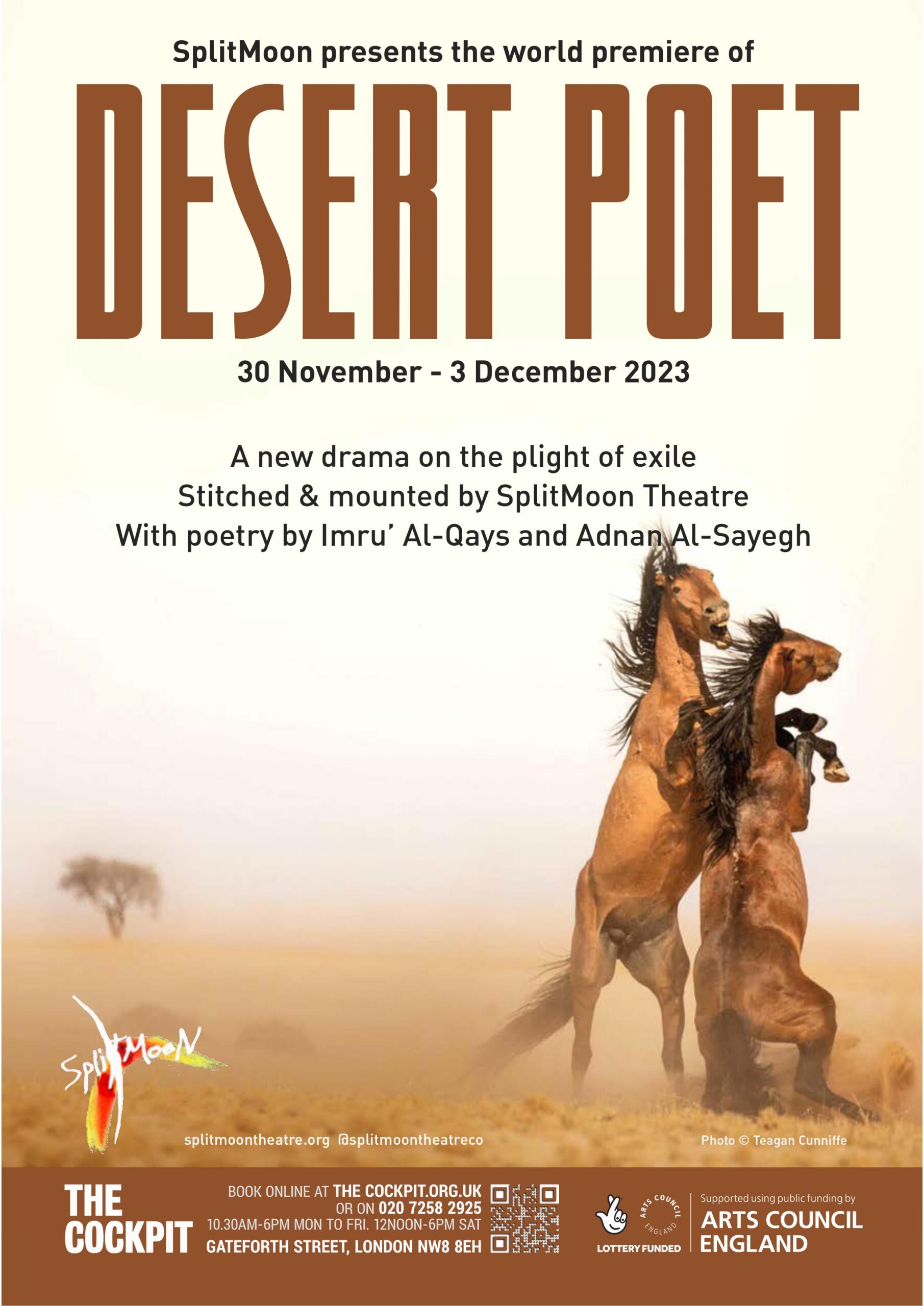 Desert Poet - The Arab British Centre